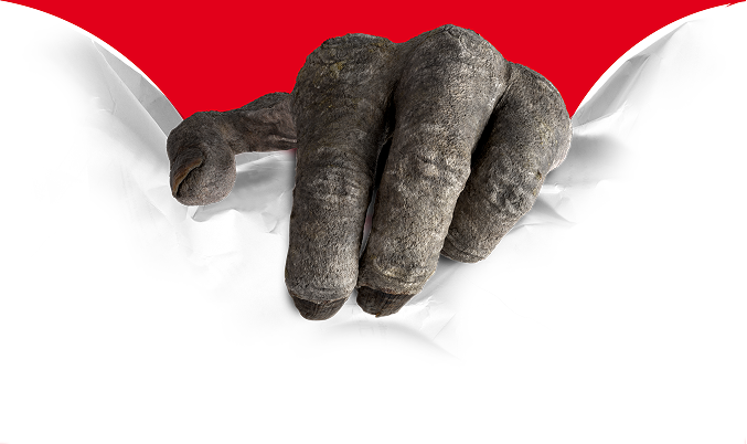 Trollhånd_01 1.png